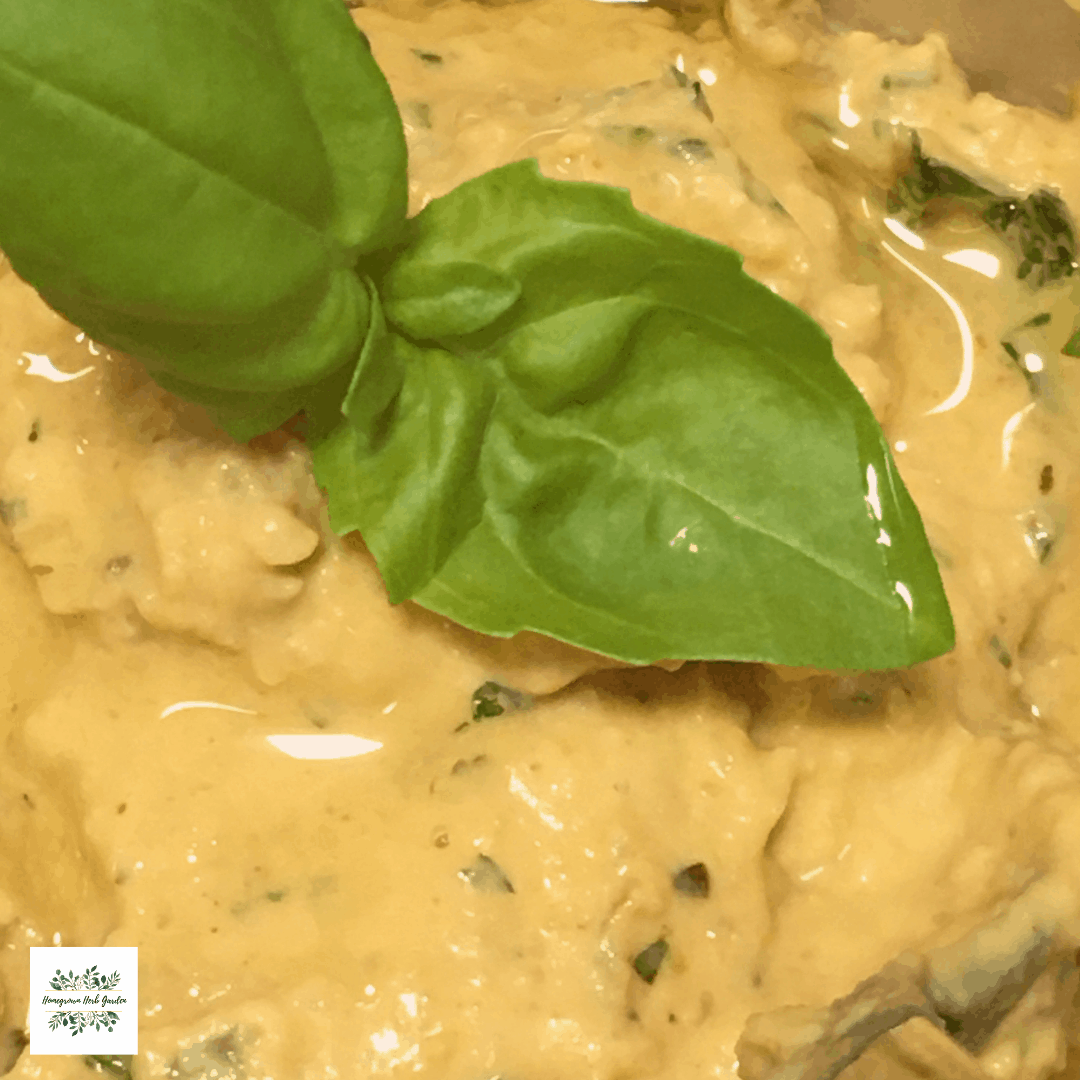Moroccan Inspired Hummus With Basil (Vegan) - Homegrown Herb Garden