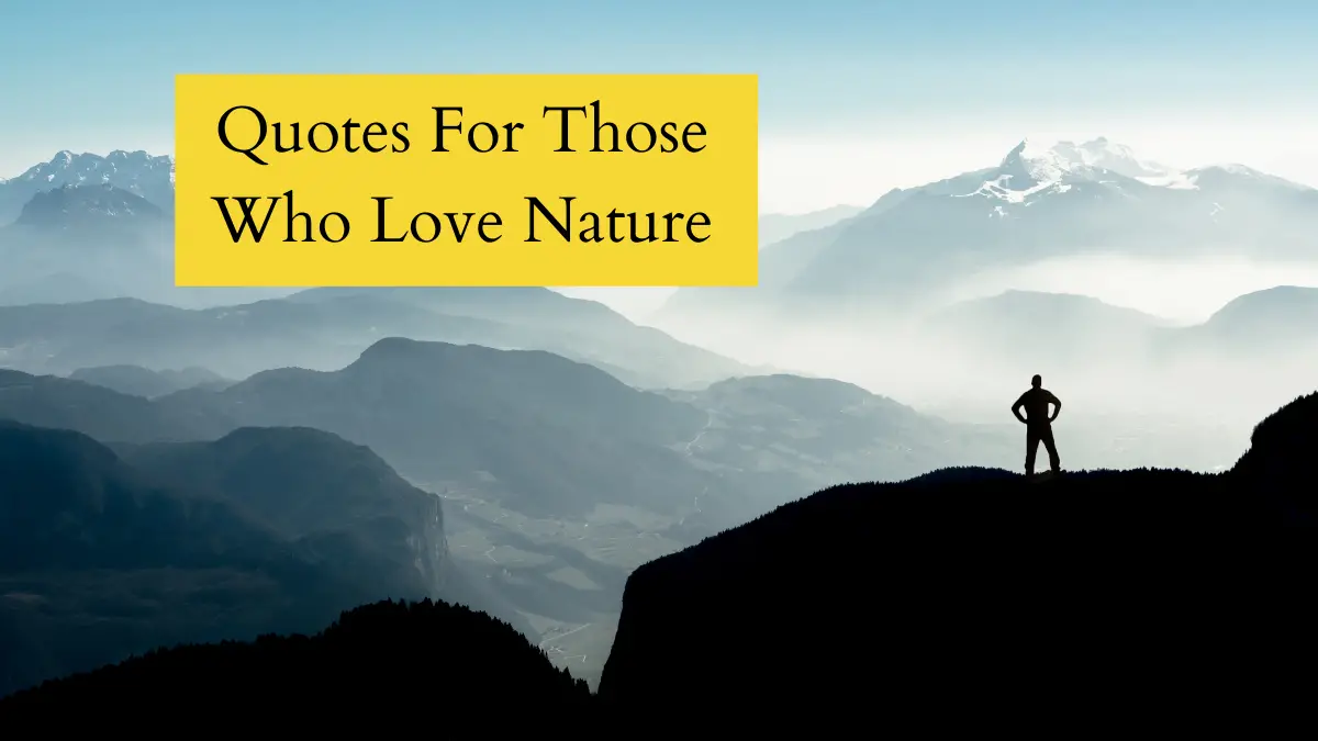 Getting Back To Nature Quotes For Those Who Love The Outdoors ...