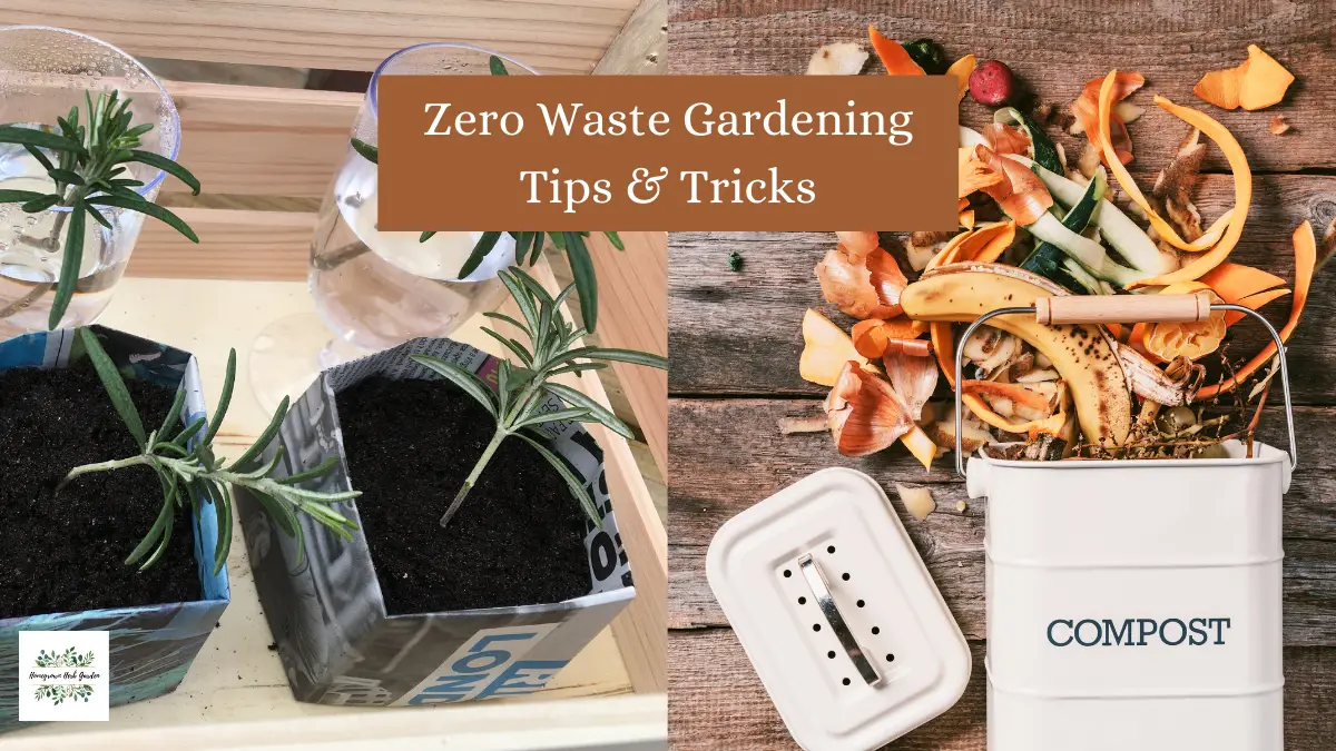 How To Apply Zero Waste Principles In Your Garden - Homegrown Herb Garden