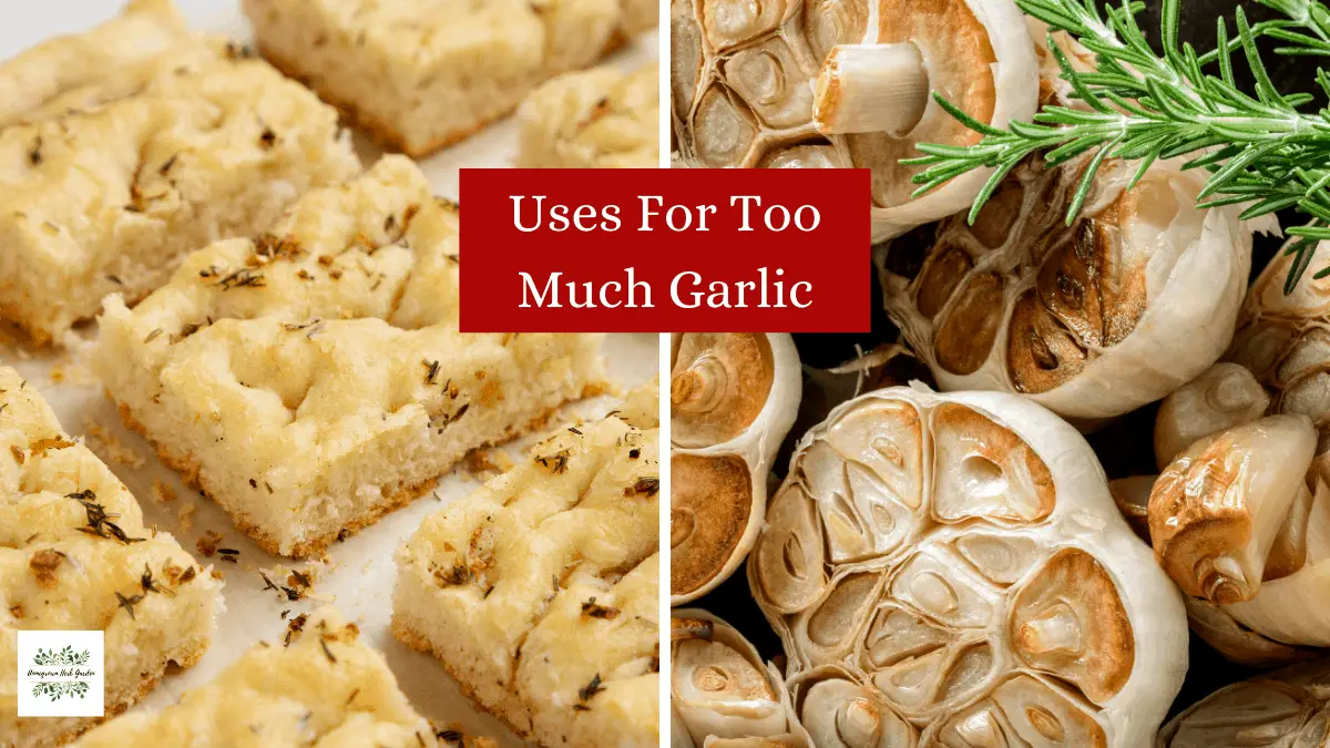 What To Do With A Bumper Harvest Of Garlic - Homegrown Herb Garden