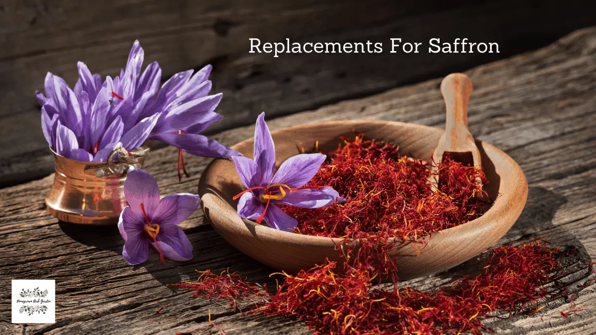 Saffron Substitutes You Can Afford - Homegrown Herb Garden